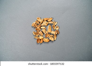 14,152 Coffee shell Images, Stock Photos & Vectors | Shutterstock