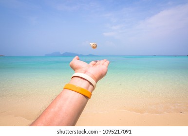 Shell Float Over Hand On Beach Stock Photo 1095217091 | Shutterstock