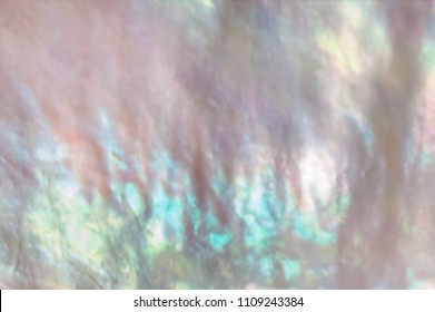 316,666 White Shell Texture Images, Stock Photos & Vectors | Shutterstock