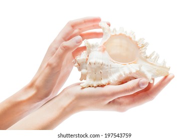 Shell Hands Stock Photo 197543759 | Shutterstock