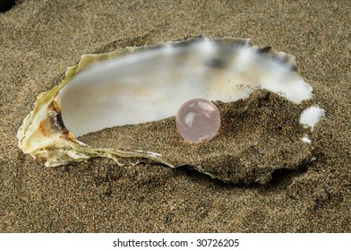 12 Perl film Images, Stock Photos & Vectors | Shutterstock