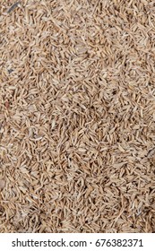 Shell Rice Grain Texture Stock Photo (Edit Now) 676382371