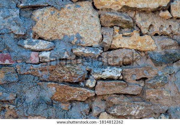 Shell Rock Stone Texture Together Cement Stock Photo 1814812262 ...