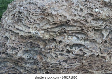 Shell Stone Texture Stock Photo 648171880 | Shutterstock
