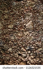 Shell Stone Texture Background Shell Rock Stock Photo 1126321535 ...