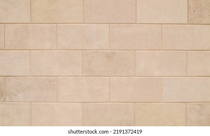 Shell Stone Tile Wall Background Natural Stock Photo 2191372419 ...