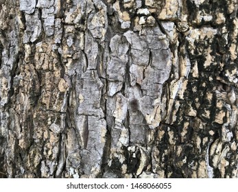Pure Dark Black Background Stock Photo 1135876508 | Shutterstock