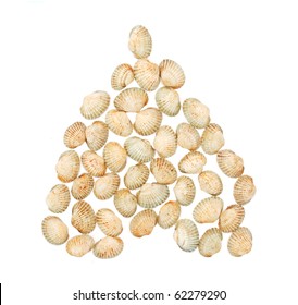 Shell Symbol Stock Photo 62279290 | Shutterstock