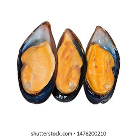 Shellfish Isolated On White Background Stock Photo 1476200210 ...
