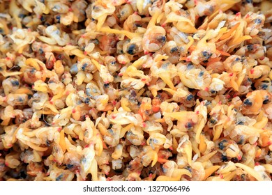 117 Hatchet feet Images, Stock Photos & Vectors | Shutterstock