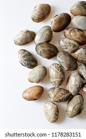 Assortment Fresh Shellfish On White Background Foto Stok 650805349 ...