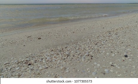 Stockfoto- en afbeeldingenportfolio van Gioridesky | Shutterstock