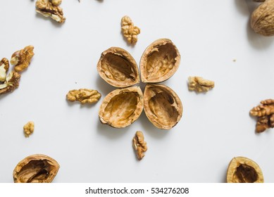 Shells Nuts Stock Photo 534276208 | Shutterstock