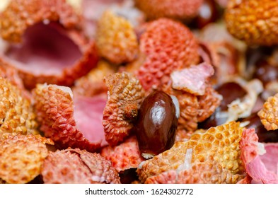 973 imágenes de Lychee nuts - Imágenes, fotos y vectores de stock ...