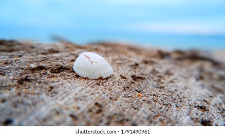 Stock Photo and Image Portfolio by MasterDX | Shutterstock