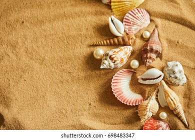 Shells On Sand Stock Photo 698483347 | Shutterstock