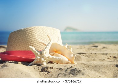 Shells On Sandy Beach Stock Photo 375166717 | Shutterstock