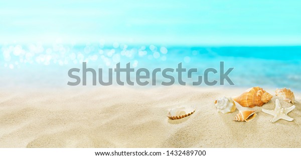 Shells On Sandy Beach Summer Great Stock Photo 1432489700 | Shutterstock