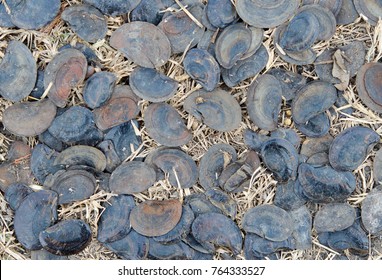 46 Shotgun shell border Stock Photos, Images & Photography | Shutterstock