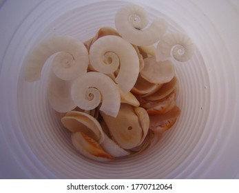 Stock Photo and Image Portfolio by karinamacieira | Shutterstock