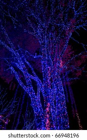 Shining Tree Stock Photo 66948196 | Shutterstock