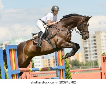 Show Jumping Stock Photo 203945782 | Shutterstock