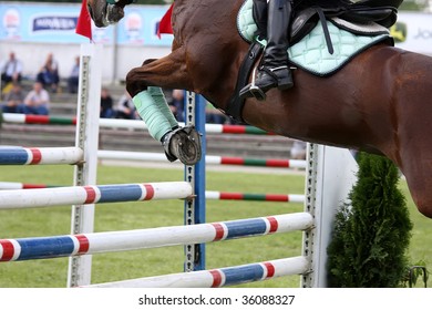 82,713 Show jumping Images, Stock Photos & Vectors | Shutterstock
