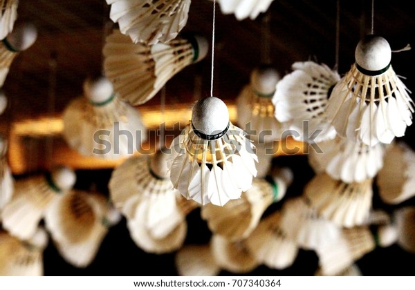 Shuttercock Stock Photo 707340364 | Shutterstock