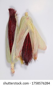 Siam Ruby Queen Corn On White Stock Photo 1758576284 | Shutterstock