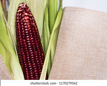 Siam Ruby Queen Red Corn Thailand Stock Photo 1170279562 | Shutterstock