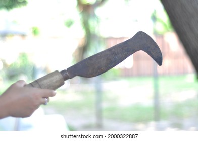 942 Curved sickle Images, Stock Photos & Vectors | Shutterstock