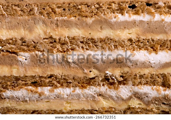 Side View Cross Cake Texture Used Stock Photo (Edit Now) 266732351