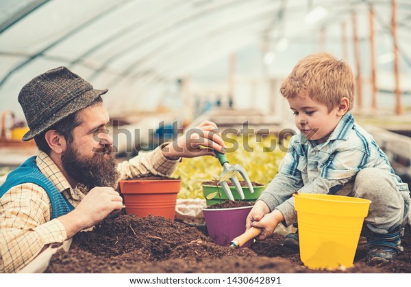 Side View Daddy Looking His Lovely Stock Photo 1430642891 | Shutterstock