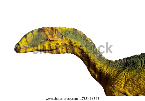 Side View Dinosaur Head Isolated On Stock Photo 1785416348 | Shutterstock