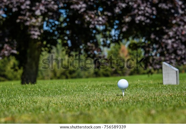 Side View Golf Ball Tee Tee Stock Photo 756589339 | Shutterstock