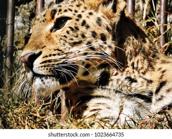 Stock Photo and Image Portfolio by aasthagraficose | Shutterstock