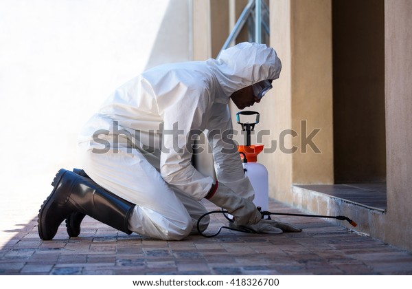 Side View Man Doing Pest Control Stock Photo (Edit Now) 418326700