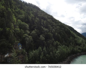 Side View Pine Tree Mountain Stock Photo 765030412 | Shutterstock