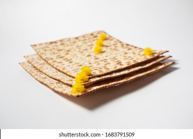 134 Matza Plant Images, Stock Photos & Vectors | Shutterstock