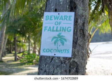 59 Beware Falling Coconut Images, Stock Photos & Vectors | Shutterstock