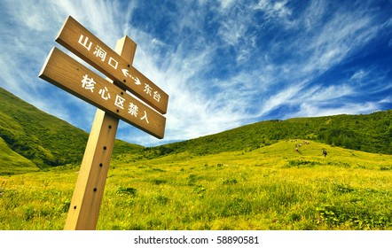 Sign Post Stock Photo 58890581 | Shutterstock