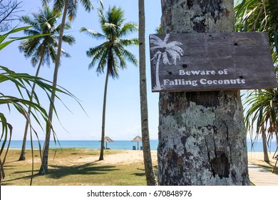 59 imágenes de Beware of falling coconuts - Imágenes, fotos y vectores ...