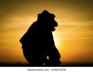 Silhouette Monkey Sunset Stock Photo 154651658 | Shutterstock