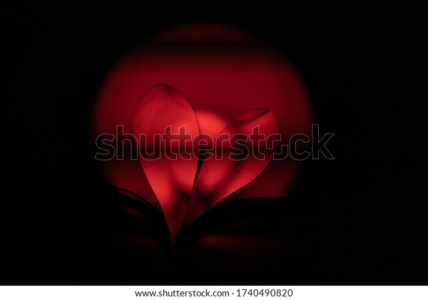 Silhouettes Red Light Hitting Back Book Stock Photo 1740490820 ...