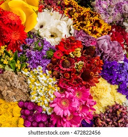 161 Silleta tradicional Images, Stock Photos & Vectors | Shutterstock