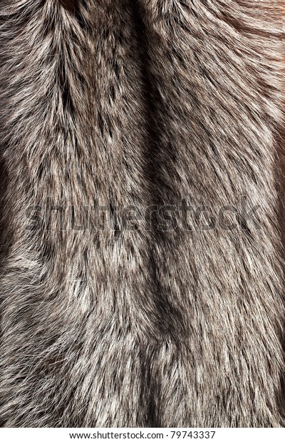 Silver Fox Fur Texture Vertical Background ภาพสต็อก 79743337 | Shutterstock