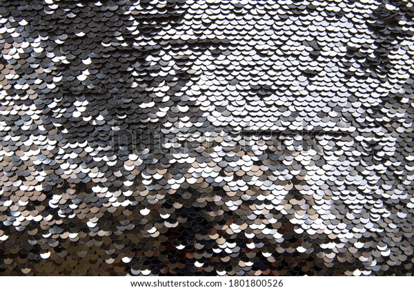 Silver Sequin Texture Full Frame Background Stock Photo 1801800526 ...
