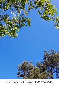 Simple Sky Stock Photo 1907270044 | Shutterstock
