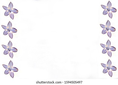 Simple Violet Frame Suitable Text Input Stock Photo 1594505497 ...