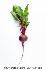44,452 Beetroot Plant Images, Stock Photos & Vectors | Shutterstock